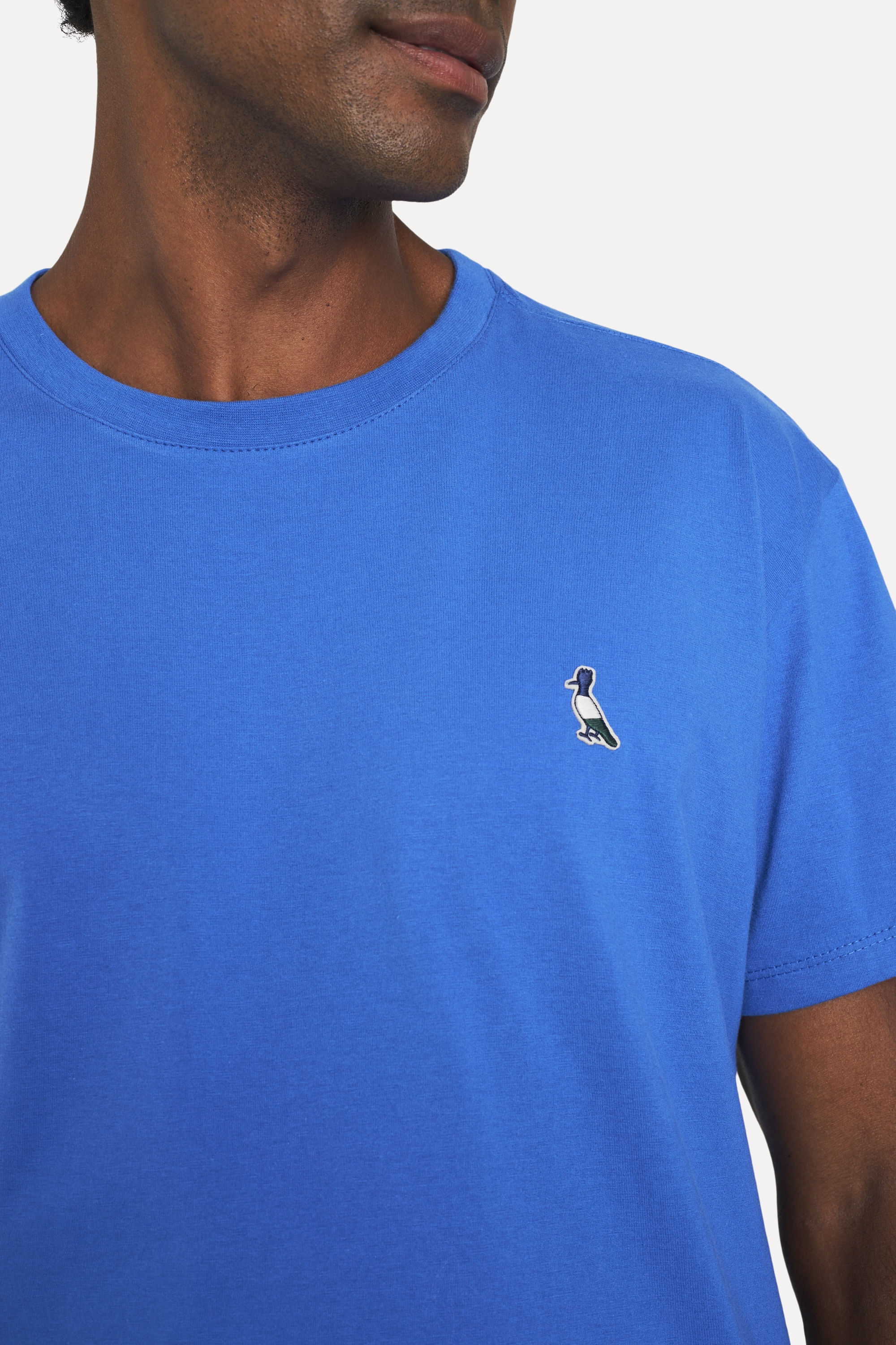 CAMISETA PICA PAU PATCH TRICOLOR