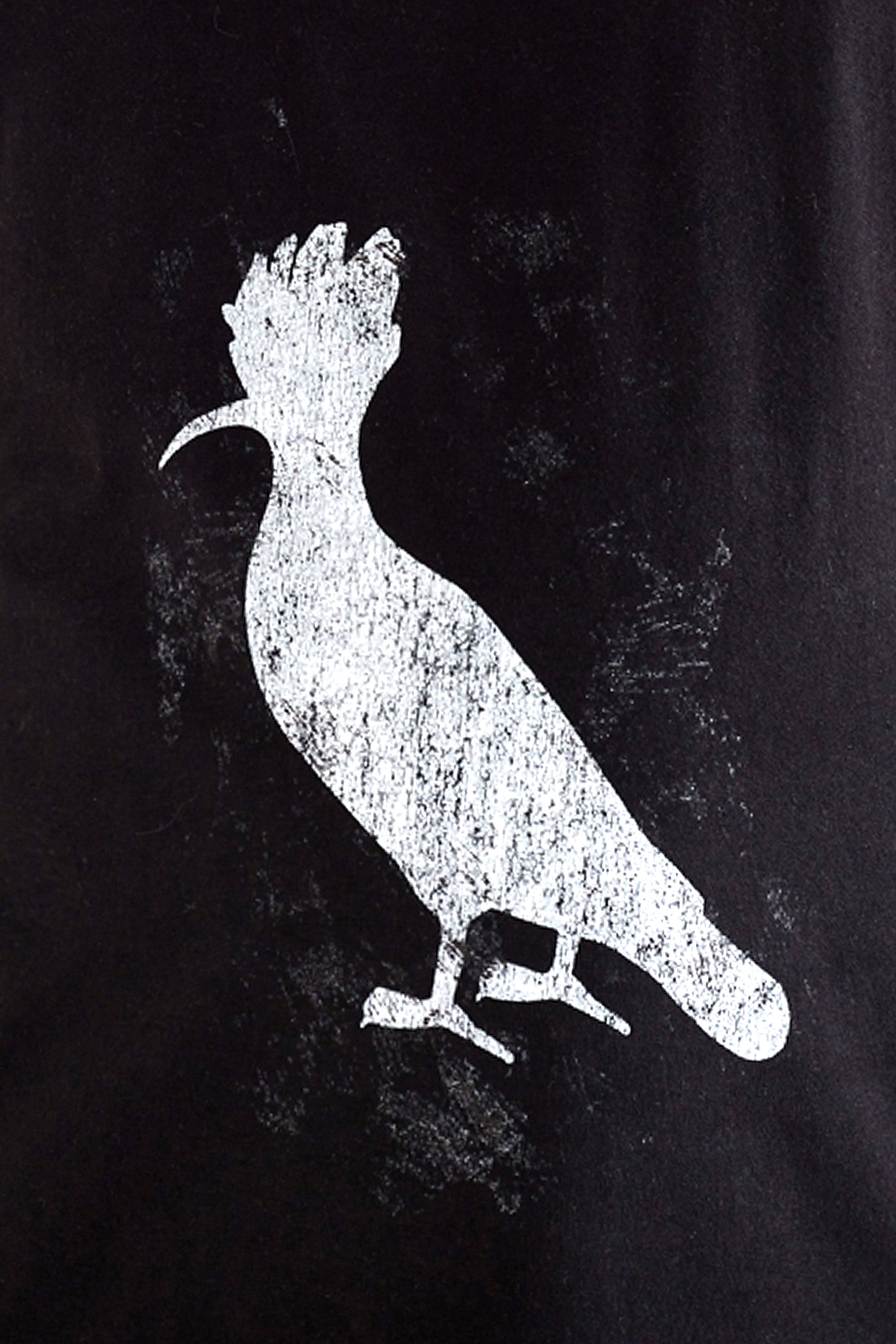 REGATA MINI PICA-PAU DARK